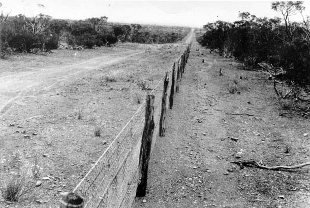 Last of Rabbit-Proof Fence girls, whose trek home was made into famous ...