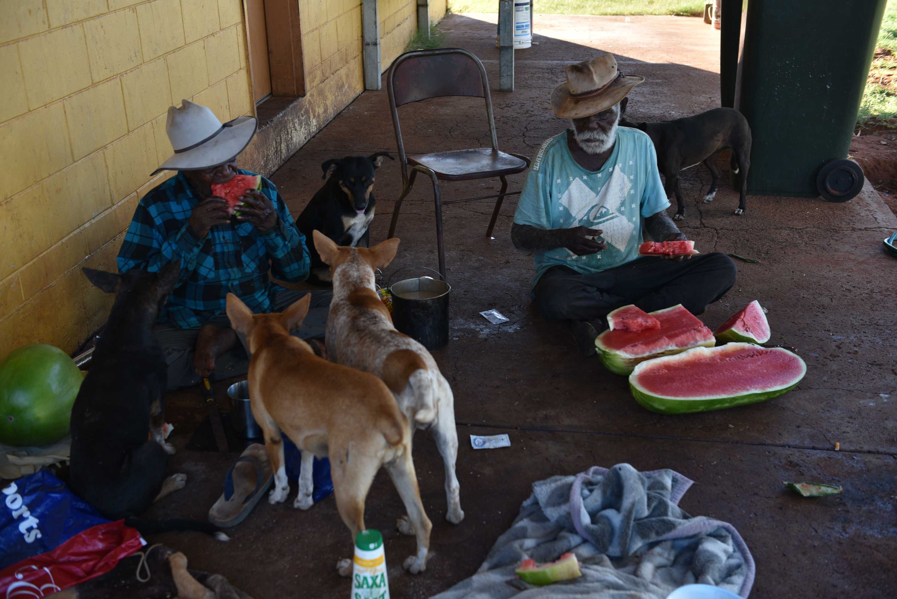 NT's Desert Springs watermelon farm turns to backpackers as it ...