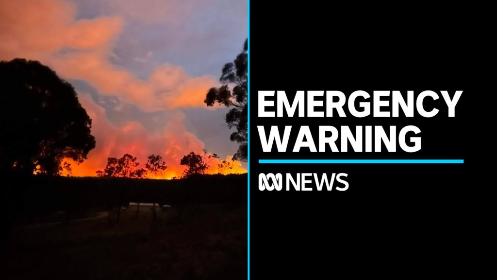 New research finds 'deepfakes' are tricky to spot - ABC News