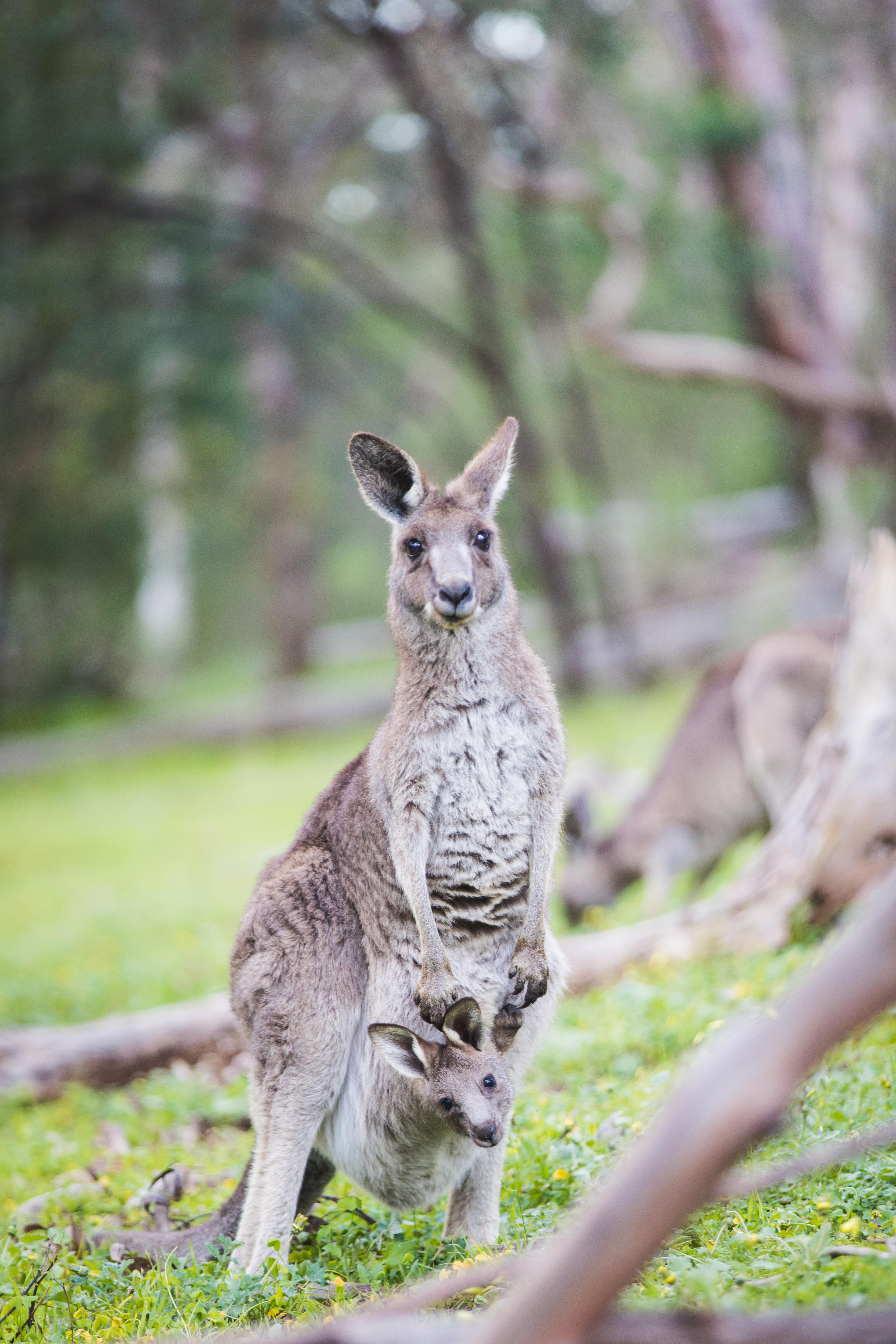 The Conversation Hour with Richelle Hunt - ABC listen