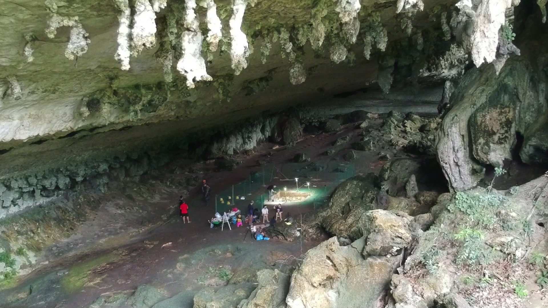 Archaeologists work in Trader's Cave - ABC News