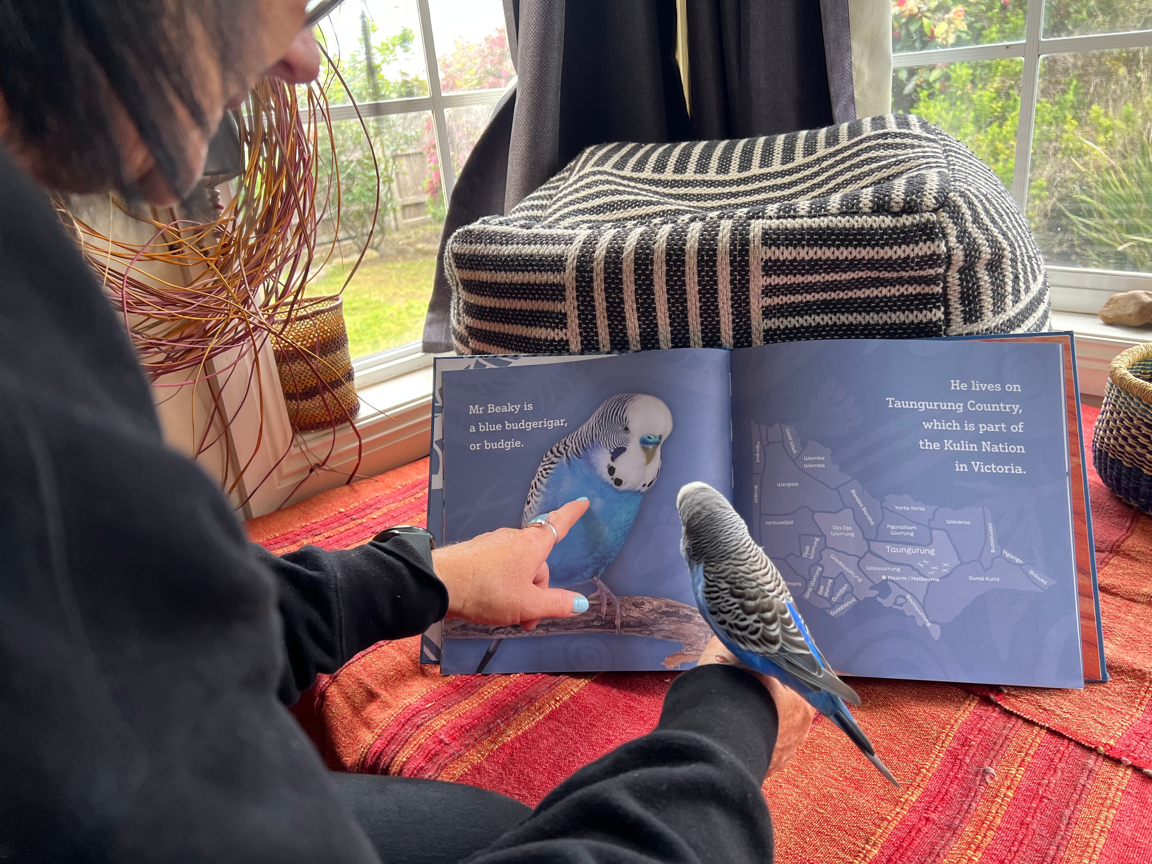 Mr Beaky is a little bird with big message and he shares his lesson ...