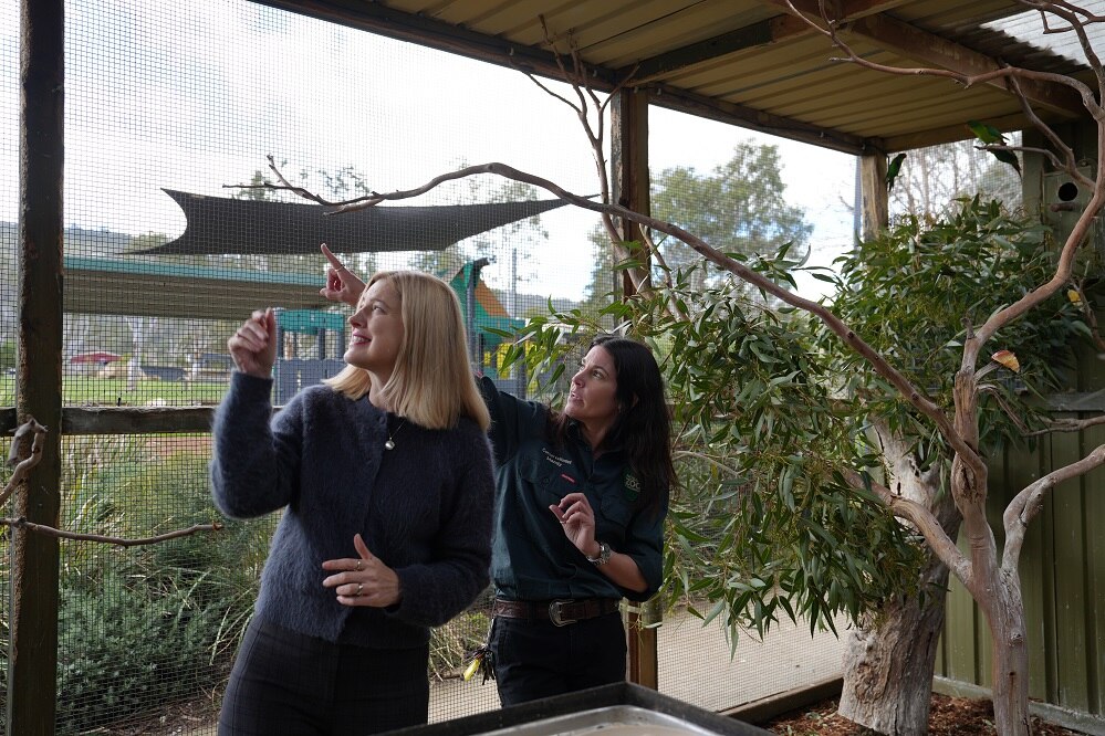 Preparations for any incursion of bird flu at Hobart Zoo and Aquarium ...