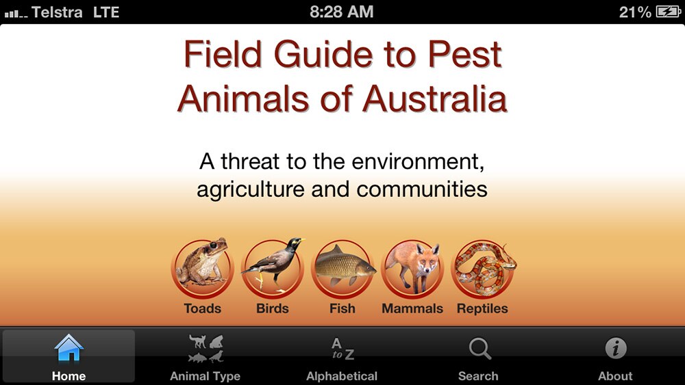 Problem with pests? There's an app for that - ABC News