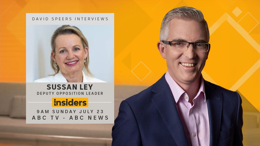 Acting Opposition Leader Sussan Ley - ABC News
