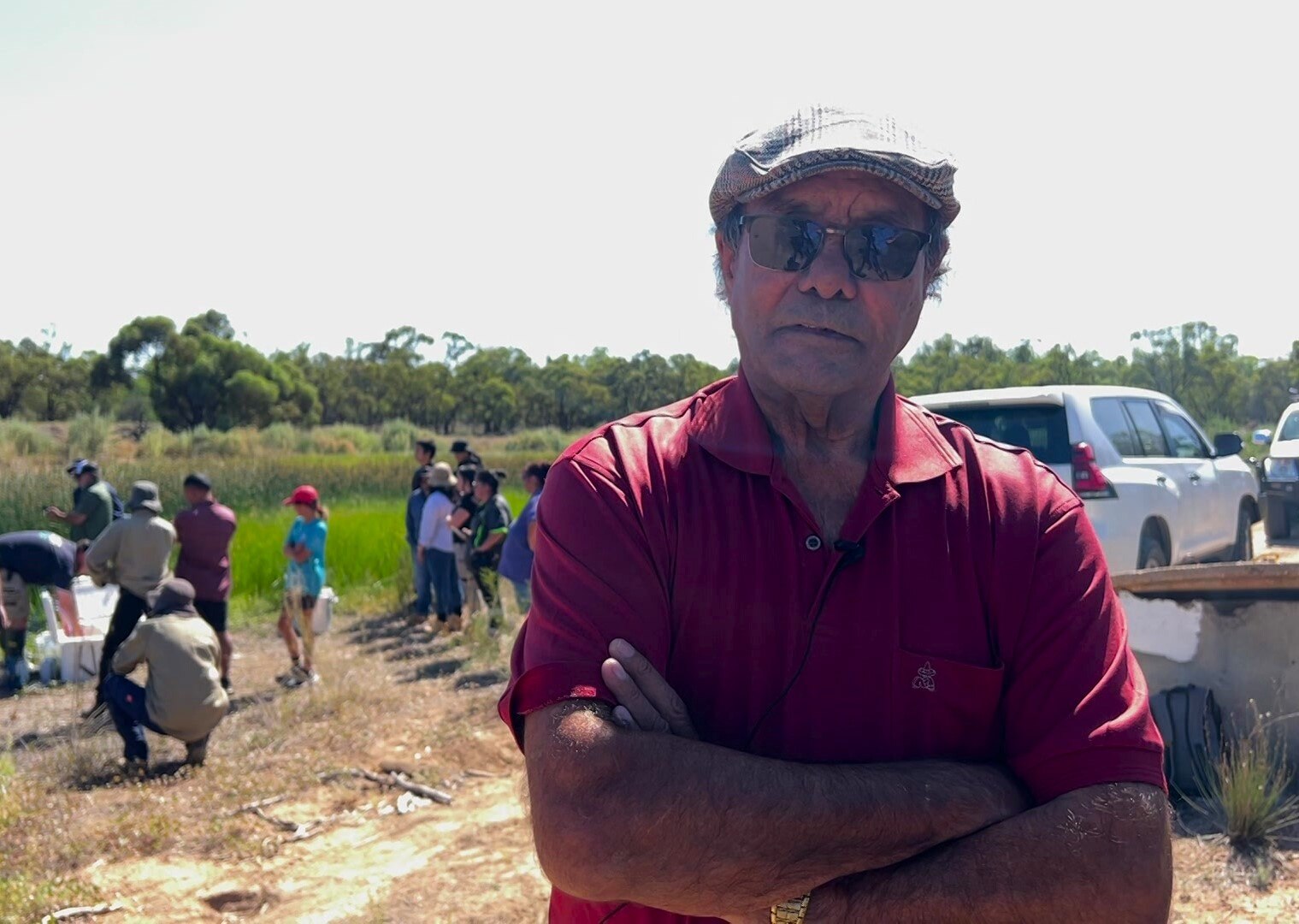 Return of tiny olive perchlet to the wild in Victoria offers hope for ...