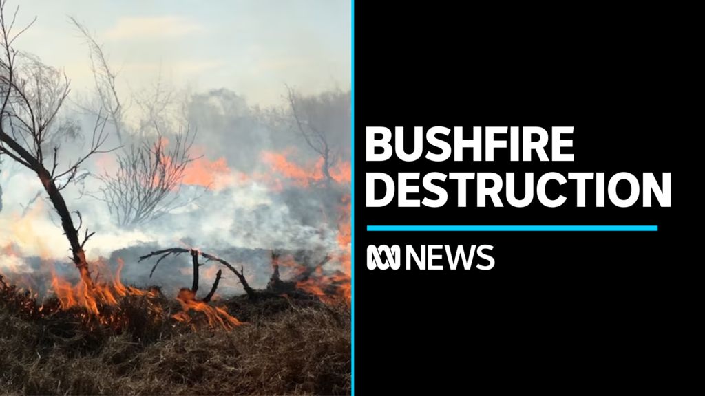 Map shows the Wagner group's movement in Russia - ABC News