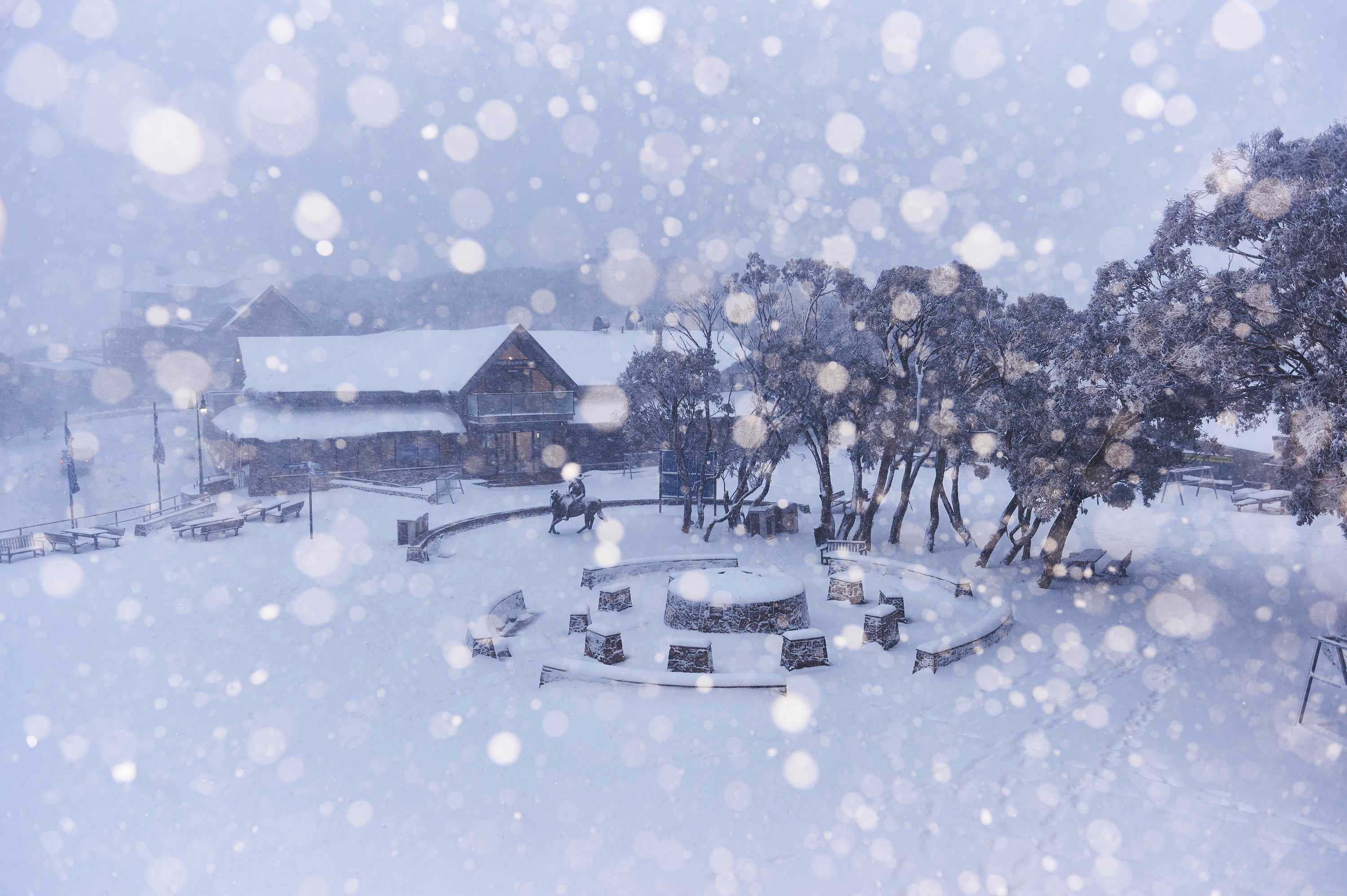 Melbourne weather: BoM warns of icy winter blast as snow hits Victoria ...