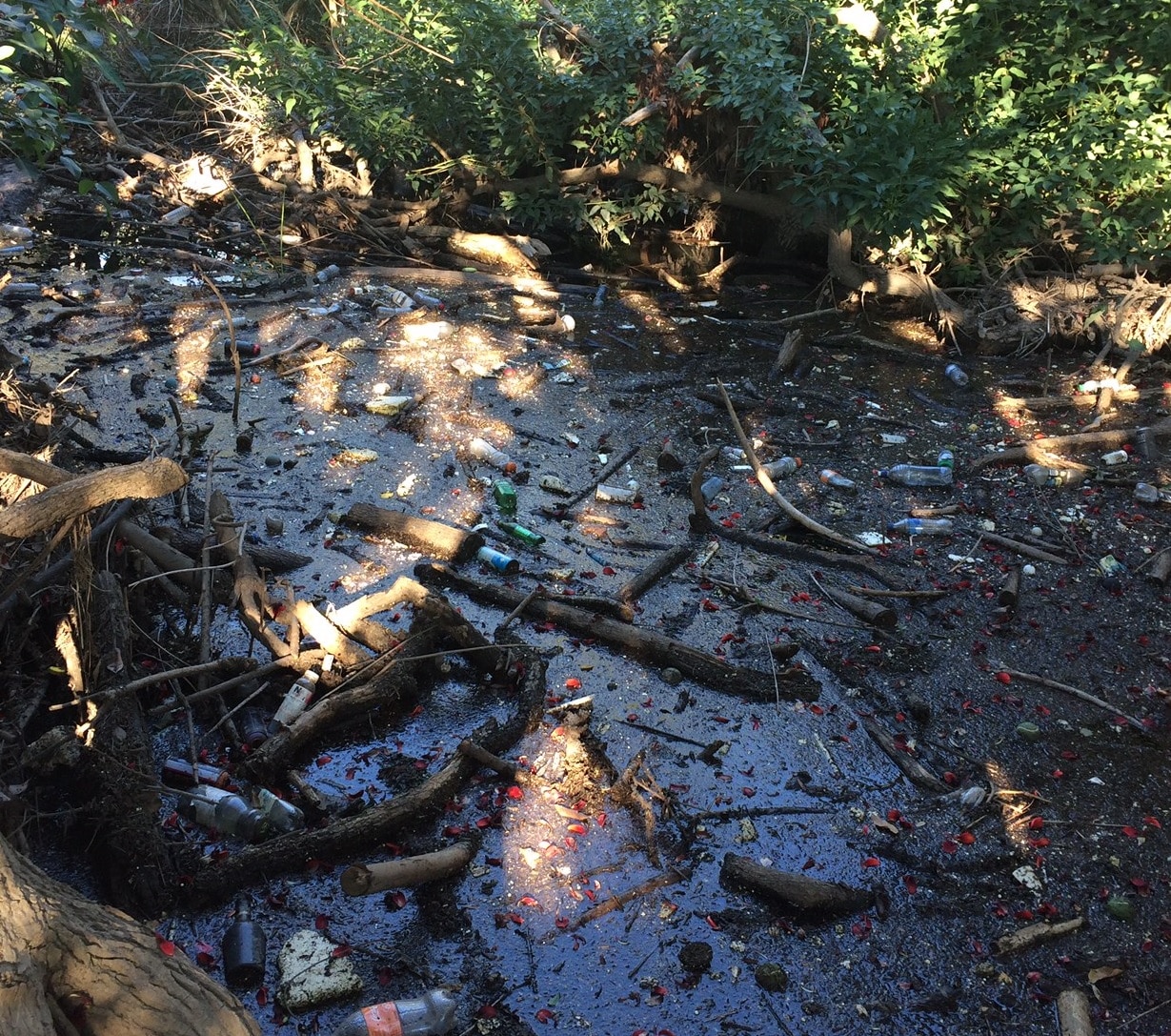 Brisbane City Council struggles as creeks and streams become rubbish ...