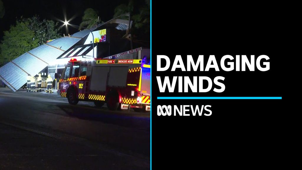 Wild winds damage property in Sydney - ABC News