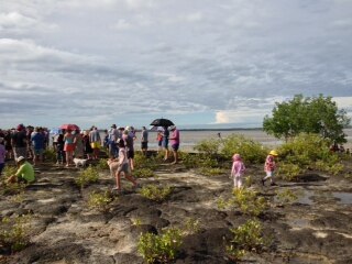 Nightcliff Island proposal comes to an end after developer Halikos ...