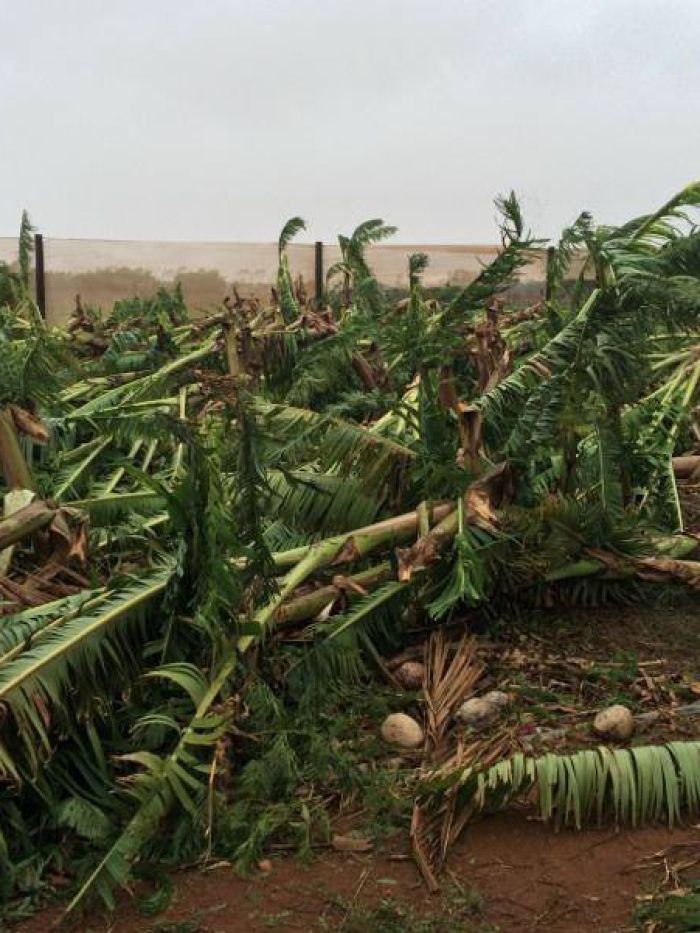 Cyclone Olwyn: Heavy rain for Perth as system vents fury on WA's Mid ...