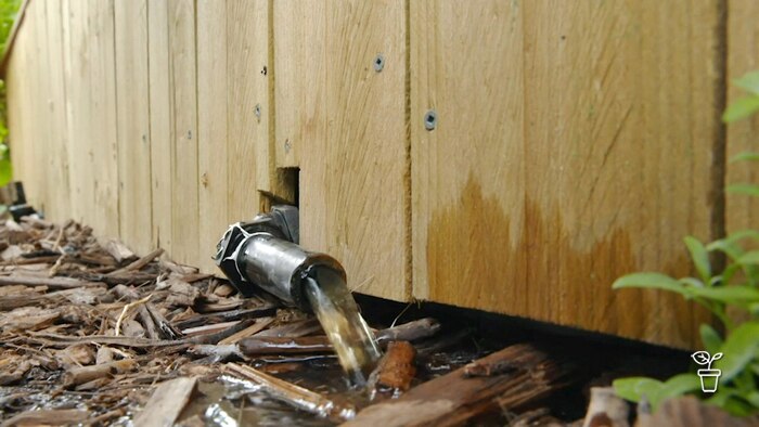 FAQs – Sticks in the garden | Lilly pilly bugs | Cleaning wicking beds ...