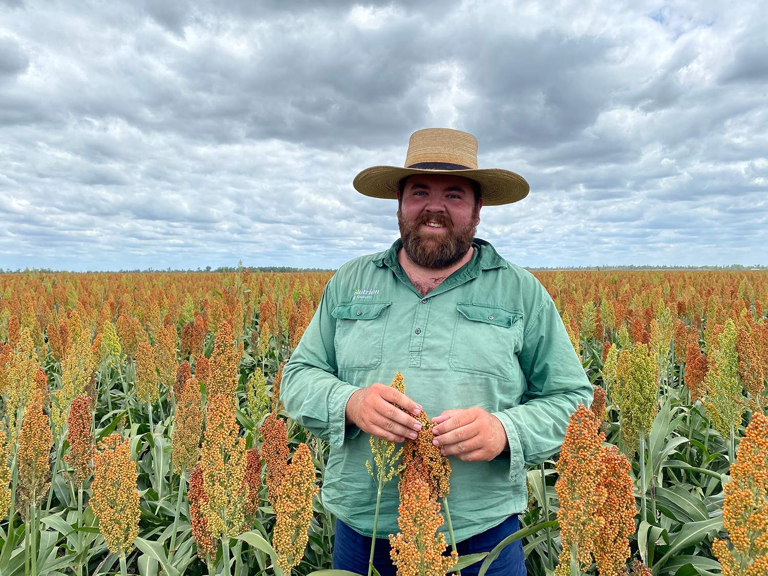 Mouse plague wreaks havoc across two states, destroying crops in Qld ...