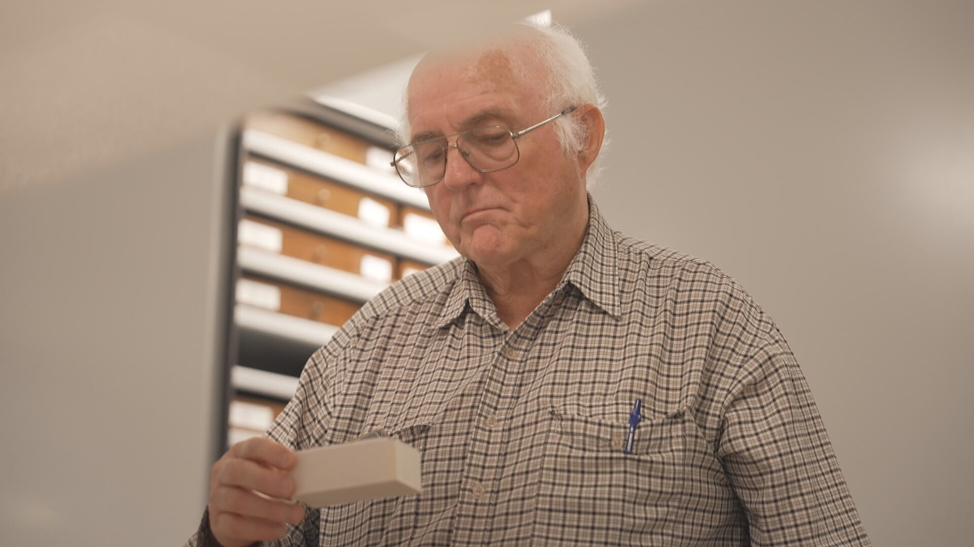 NT insect collection opens doors to citizen scientists to share ...