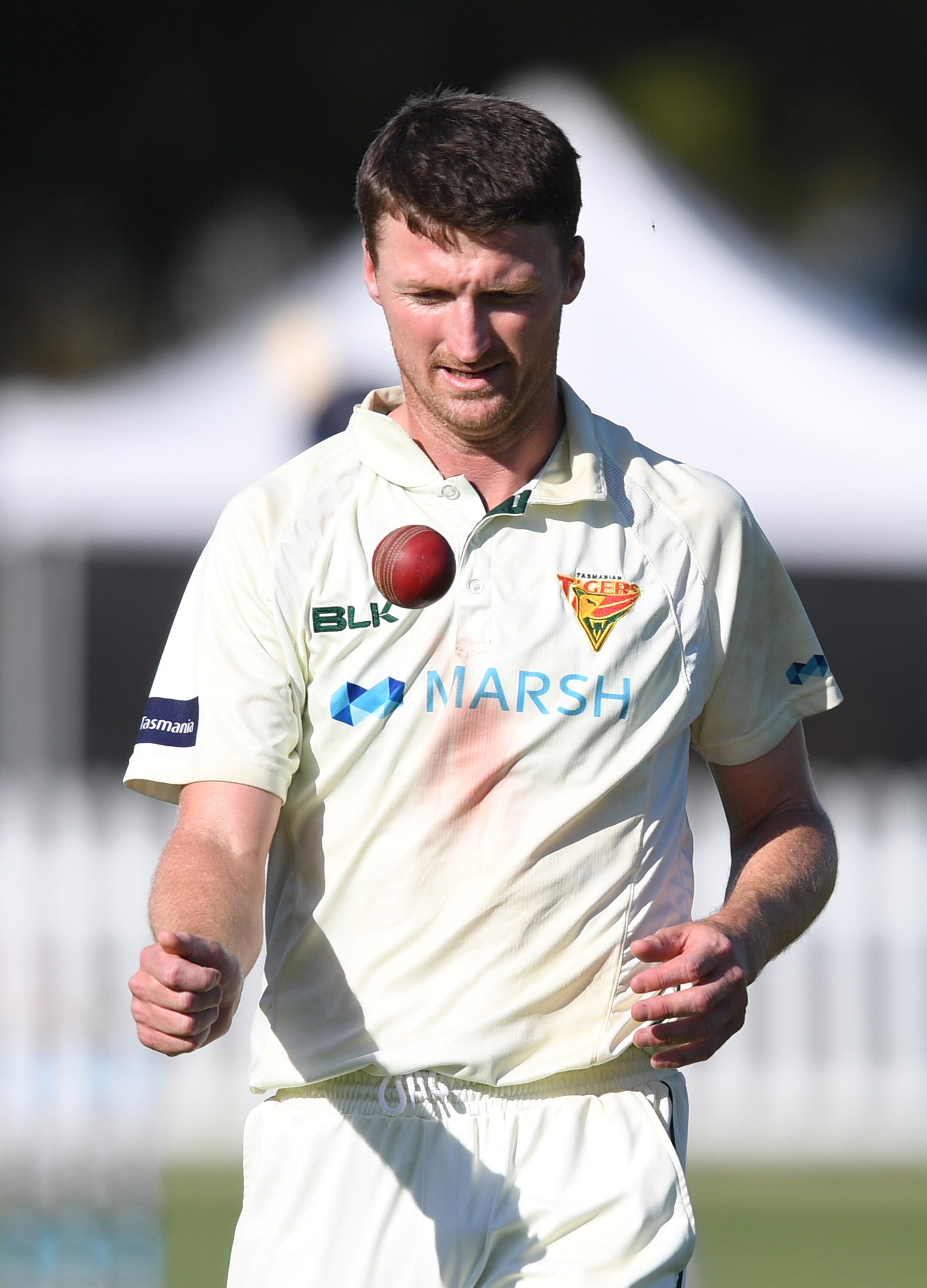 Tasmania roll out New South Wales for just 32 runs in Sheffield Shield ...