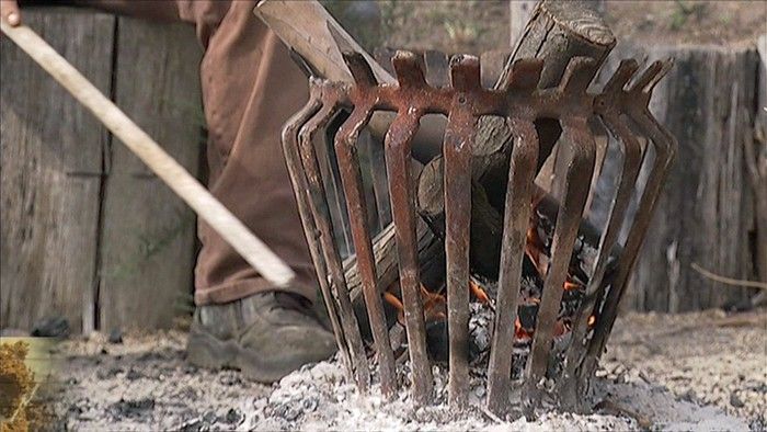 The Burning Question - Gardening Australia