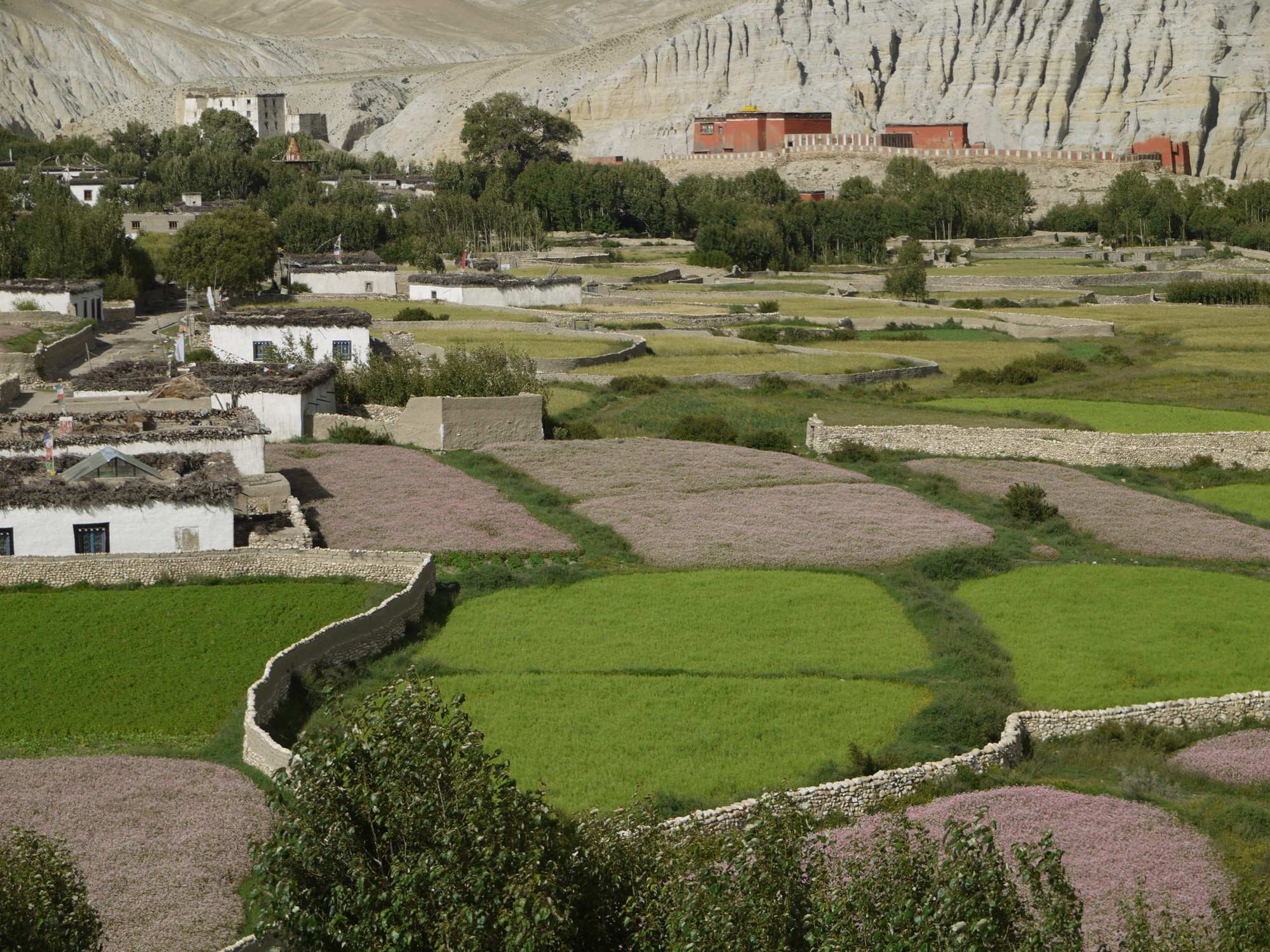 Photos from inside the once-hidden Himalayan former kingdom of Mustang ...