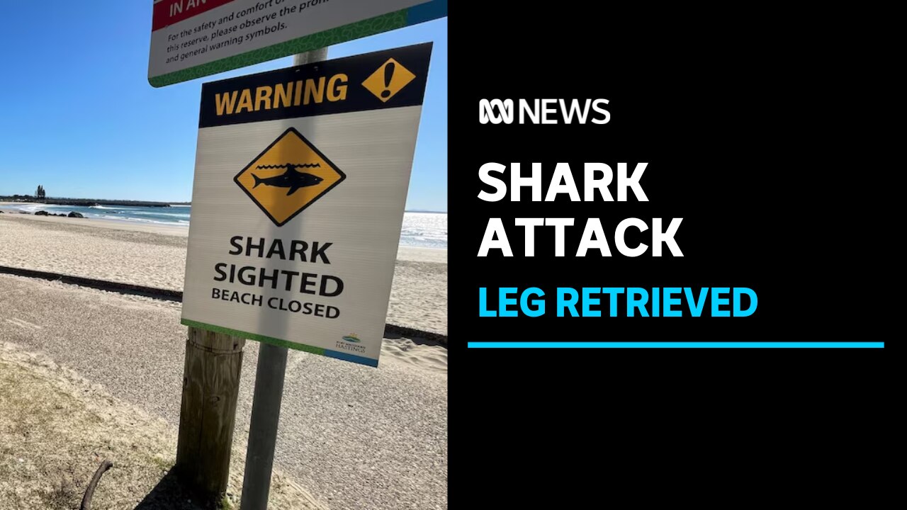 Surfer undergoes surgery after shark attack in northern NSW - ABC News