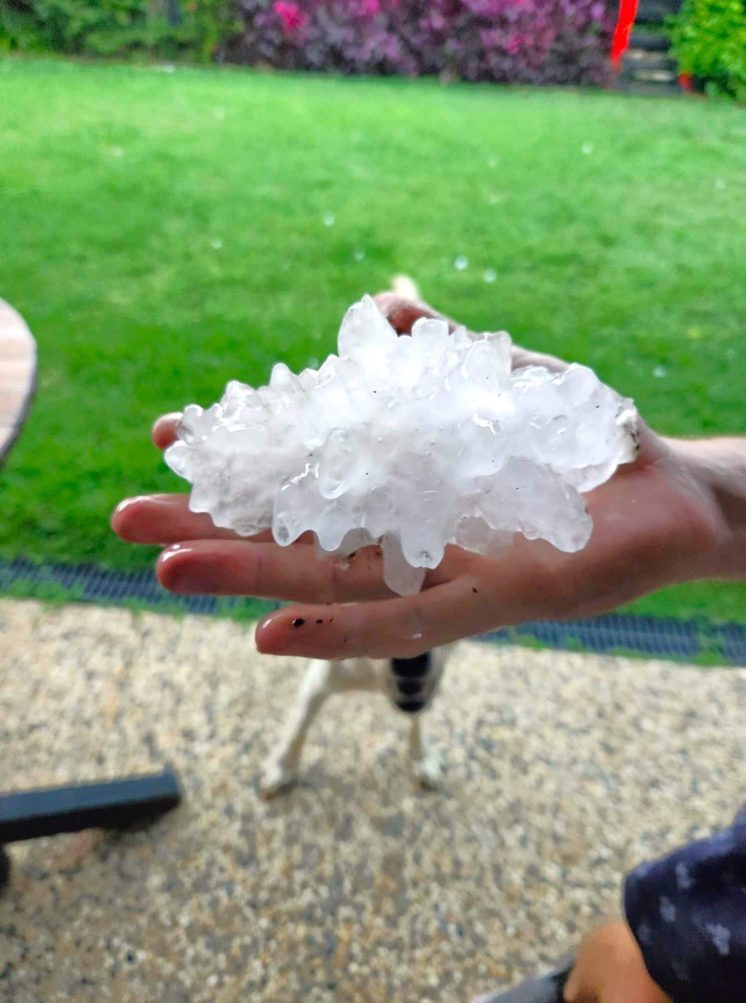 Giant hailstones wanted from your backyard for research to improve ...