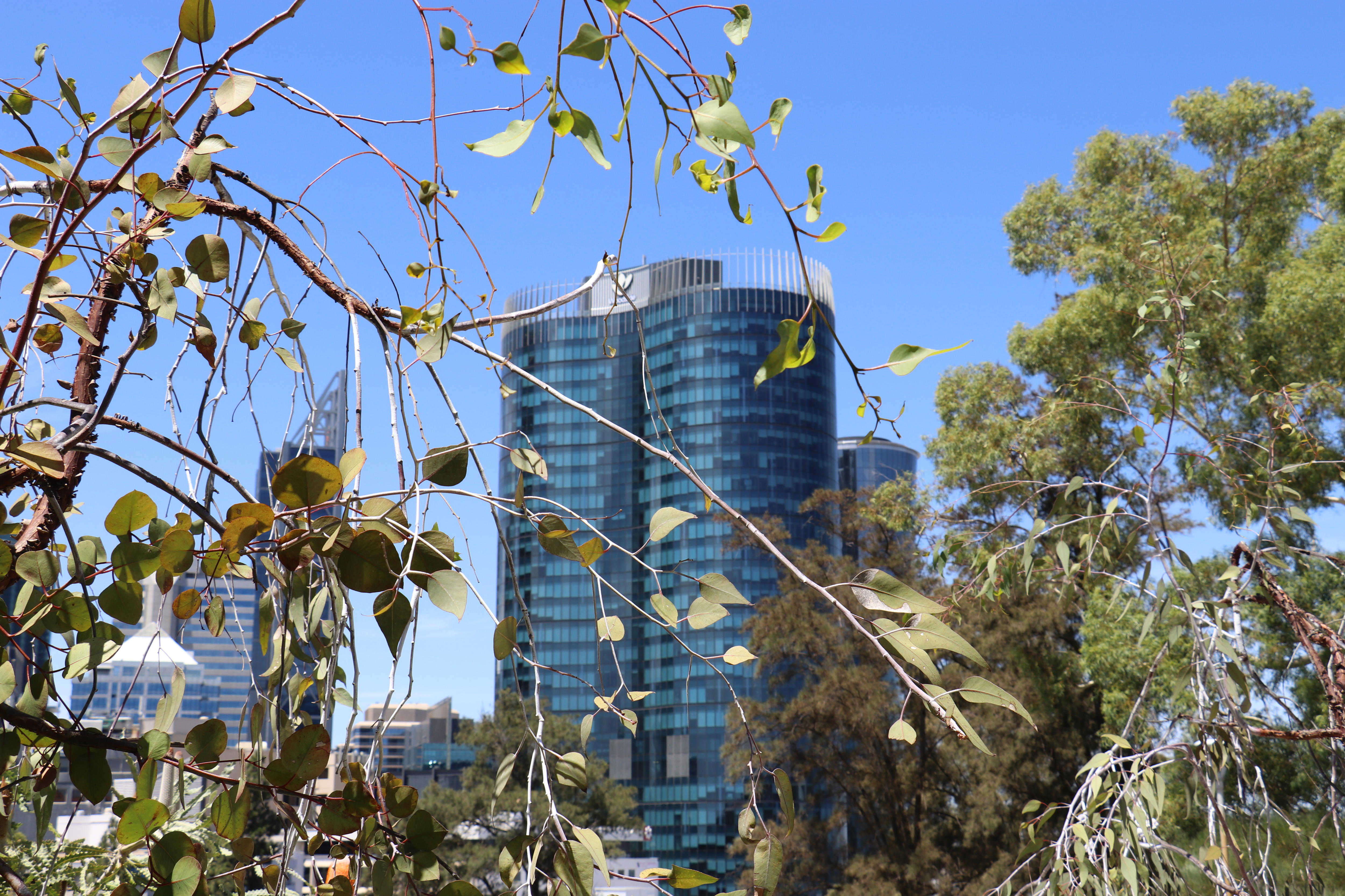 Australia's oil and gas champion Woodside looms as tempting prey for ...