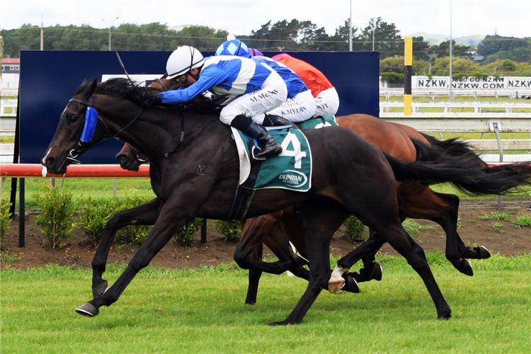 Melbourne Cup 2024 field, horses, form guide and finishing order - ABC News