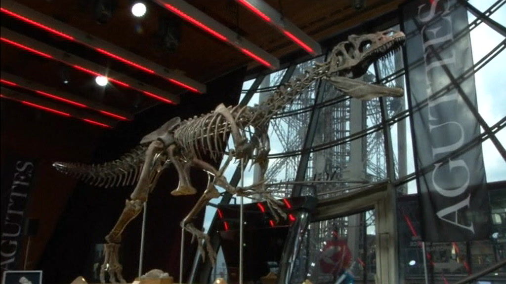 Mystery dinosaur fossil sold at auction in Paris for $3 million (AUD ...