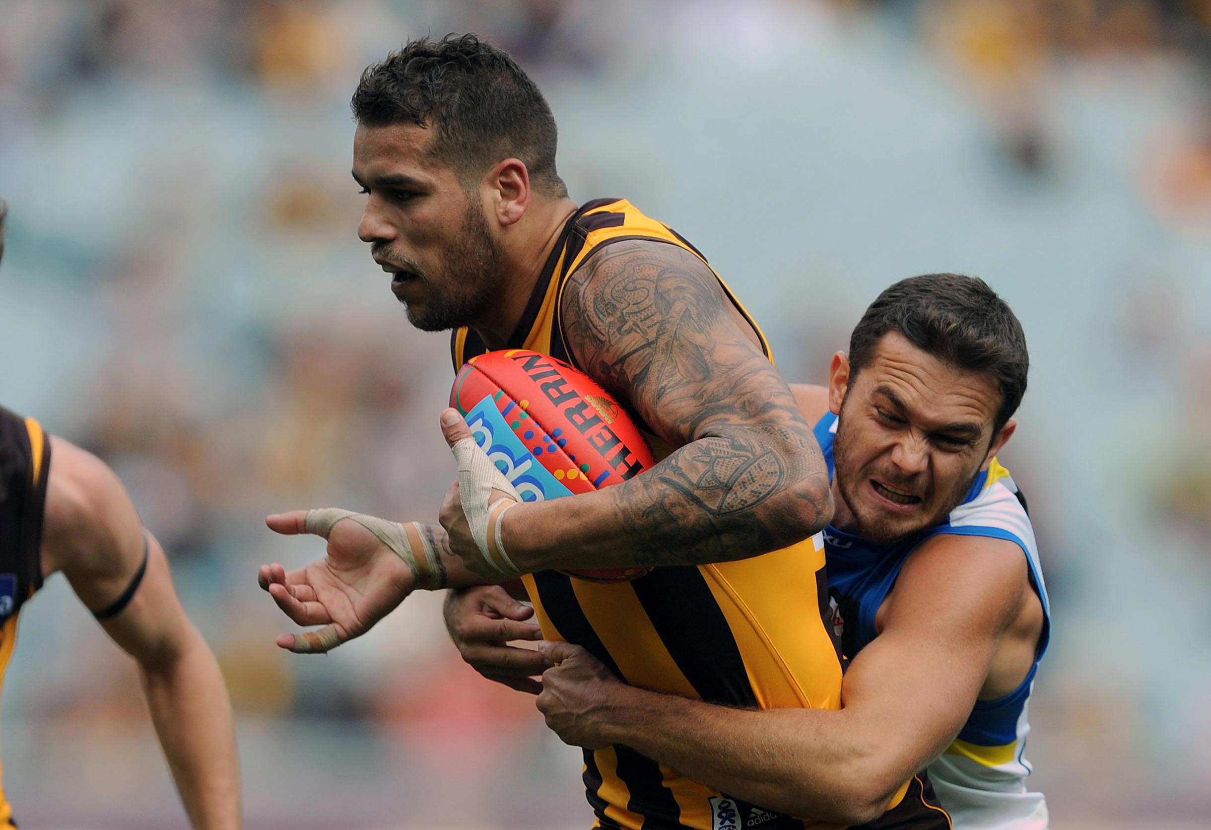 AFL: North Melbourne chokes against fast-finishing Adelaide Crows ...