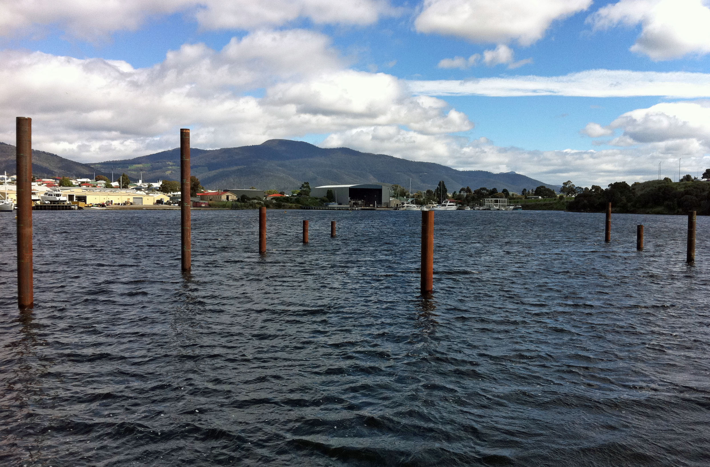 Shellfish heavy metal remains high - ABC News