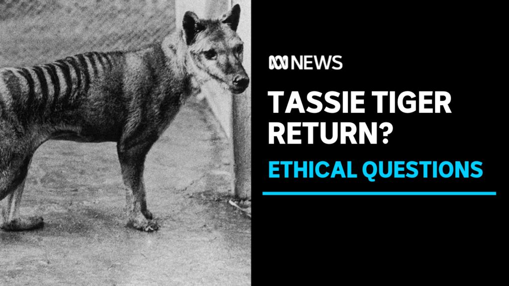 Thylacine de-extinction project questioned in new science exhibition ...