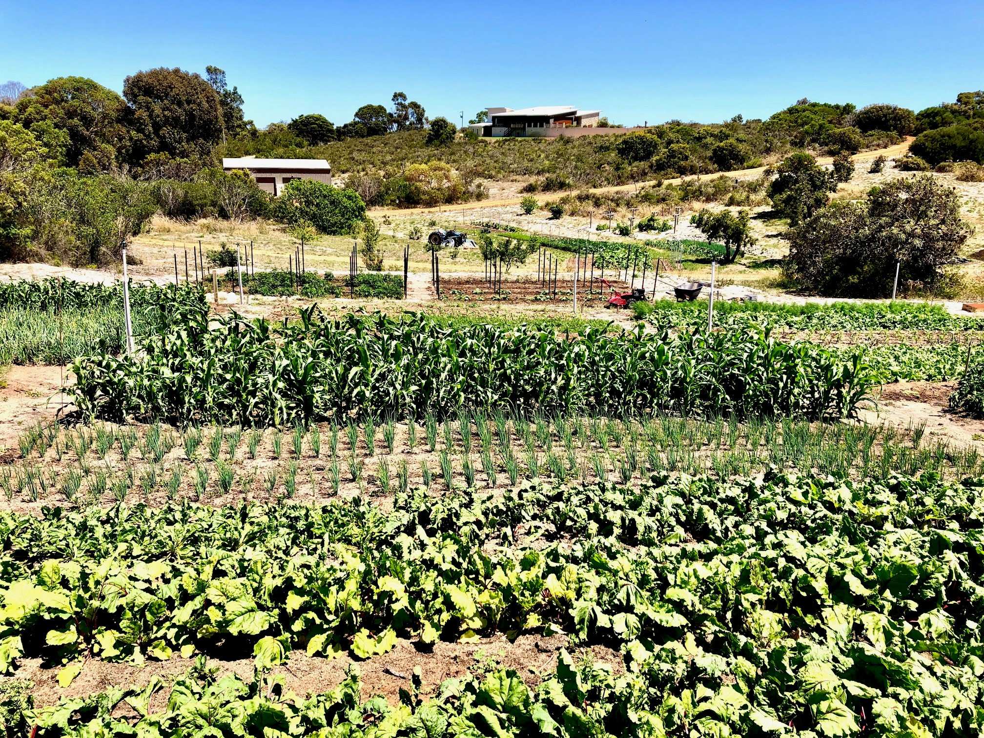 Neighbours and The Heights actor Dan Paris turns Esperance farmer in ...