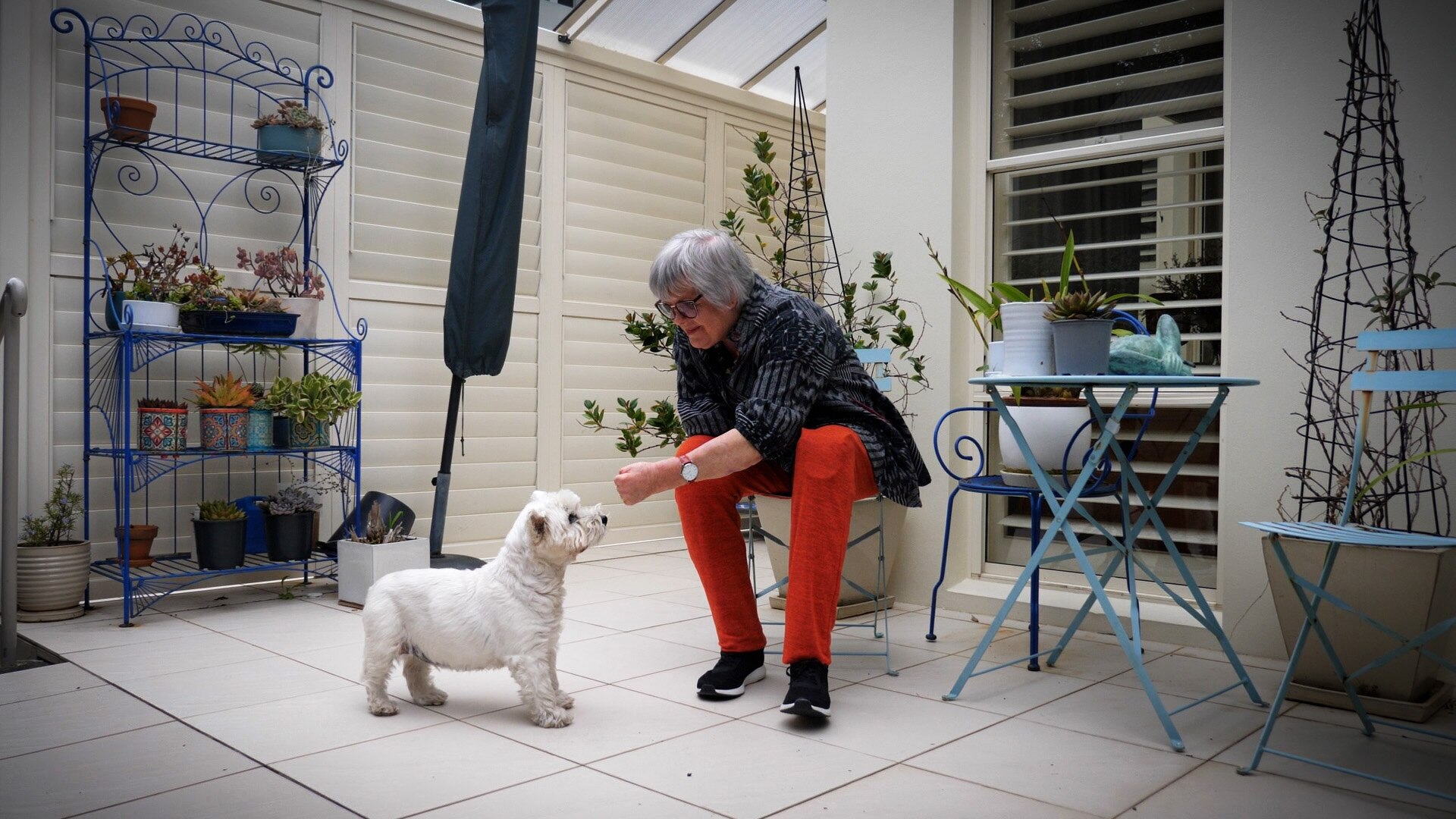 A brush with meningococcal robbed artist Elizabeth Stanley of both ...