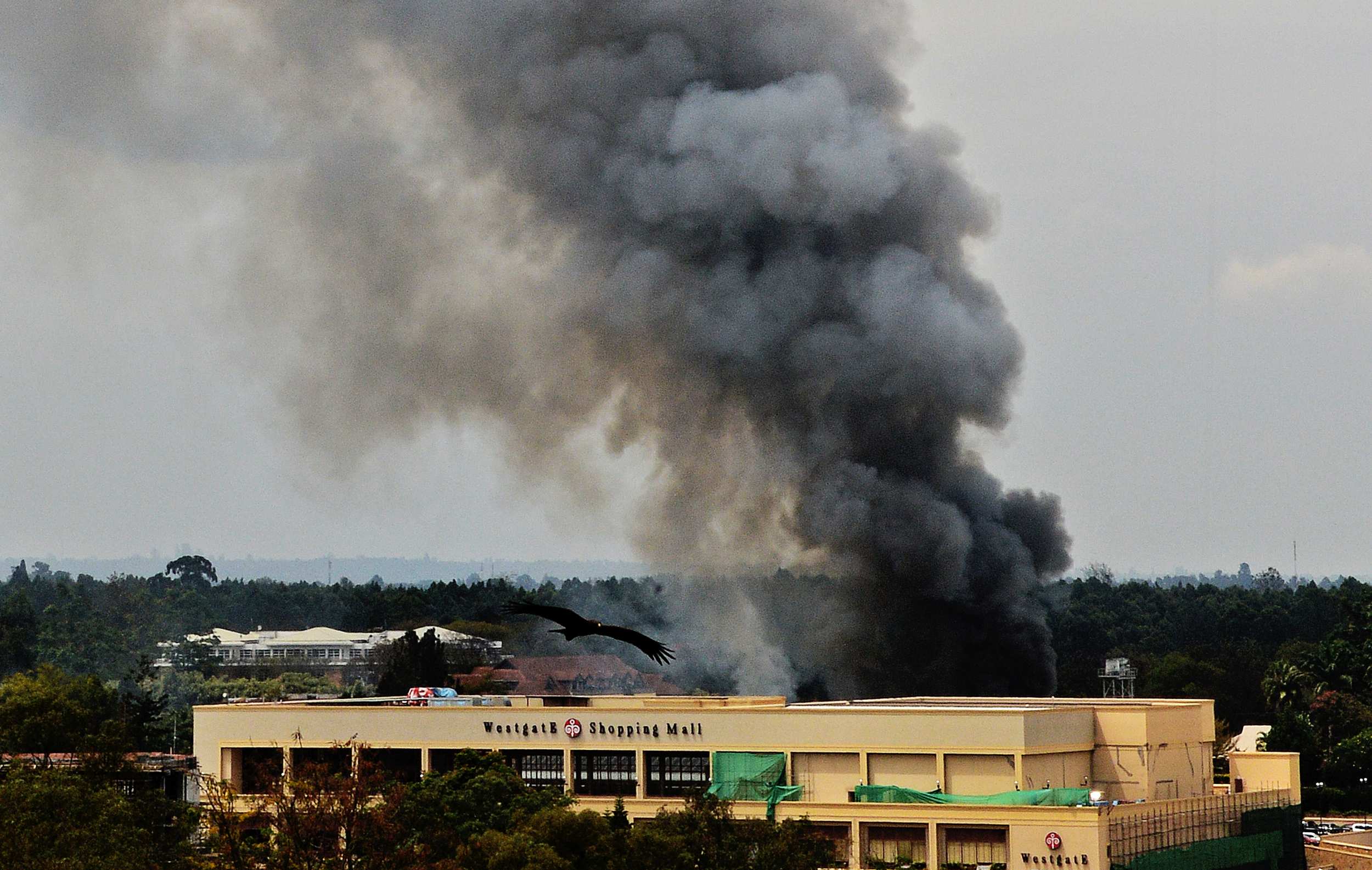 Nairobi mall siege: Kenyan forces take control as all hostages believed ...