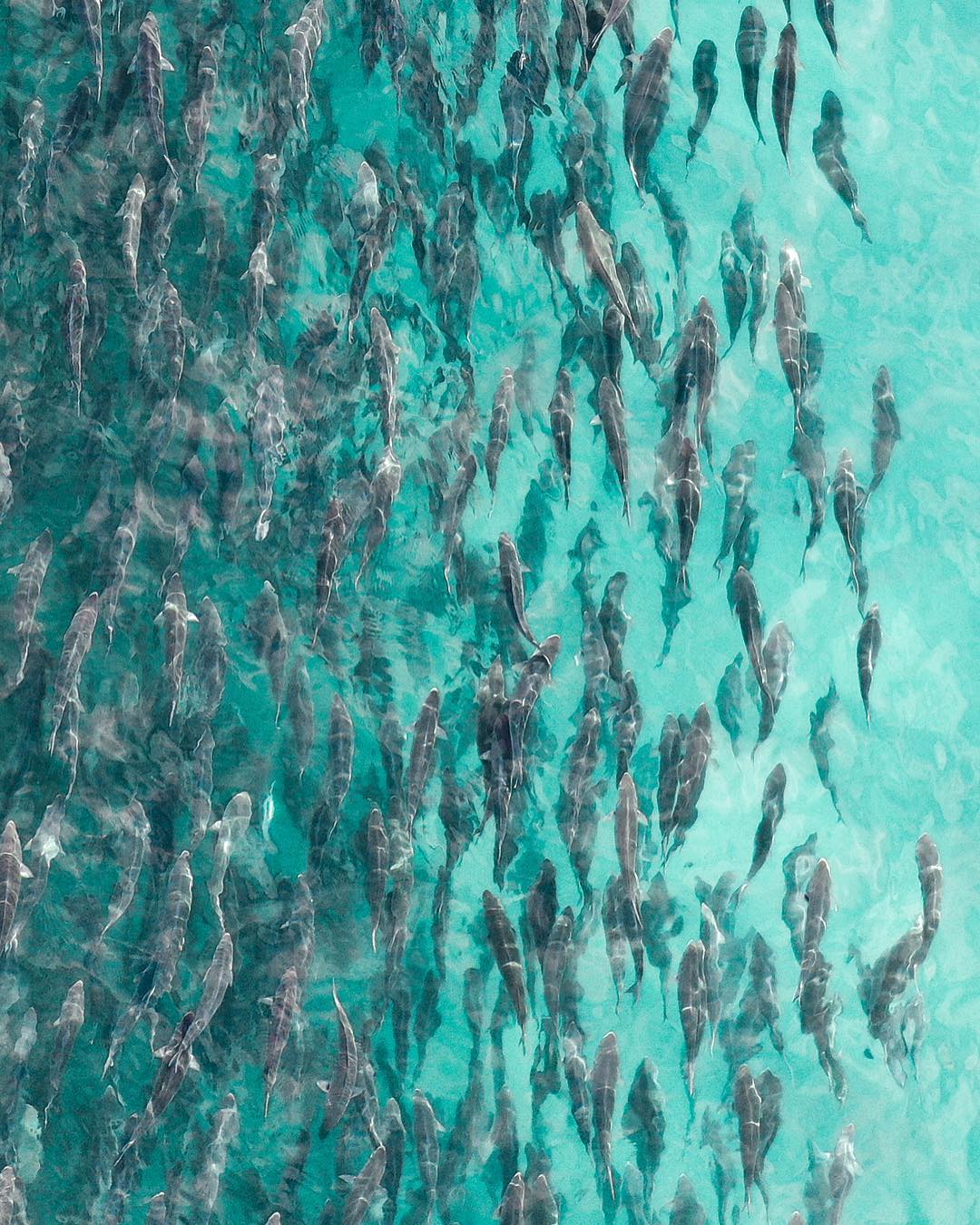 Off Track with Ann Jones - ABC listen