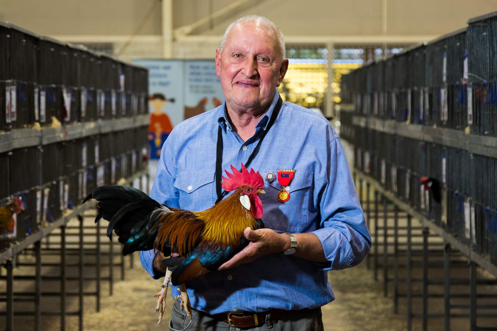 Veteran judge rules the roost at the poultry pavilion of the Royal ...