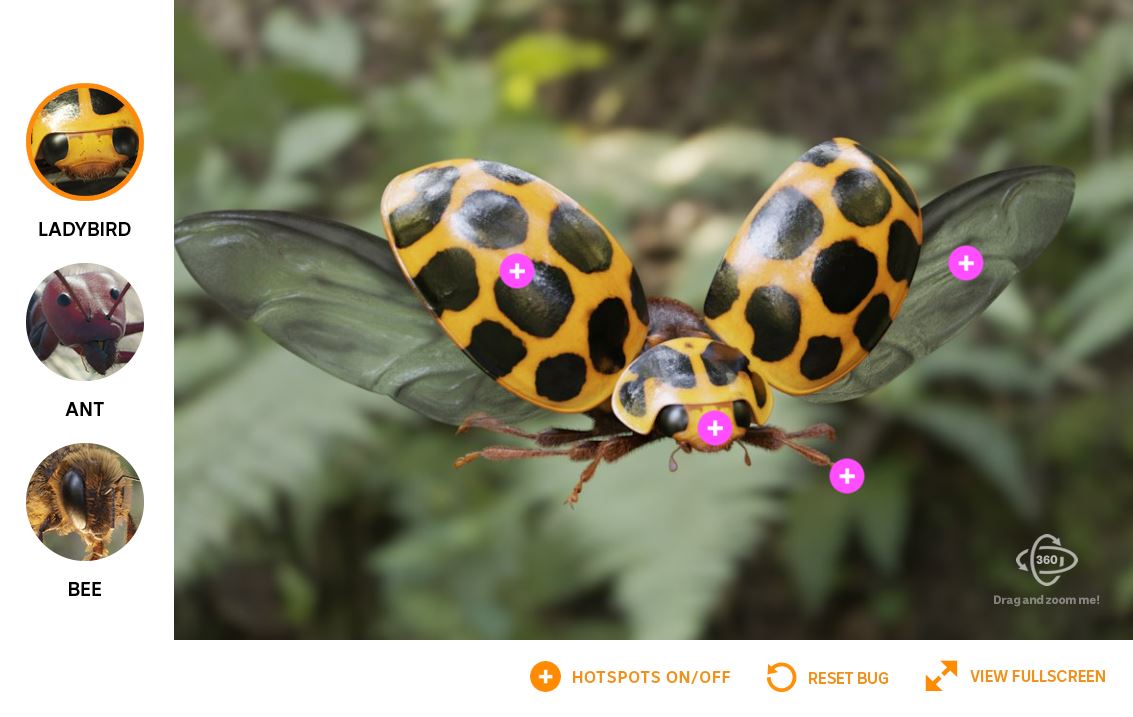 Minibeast Heroes - ABC Education