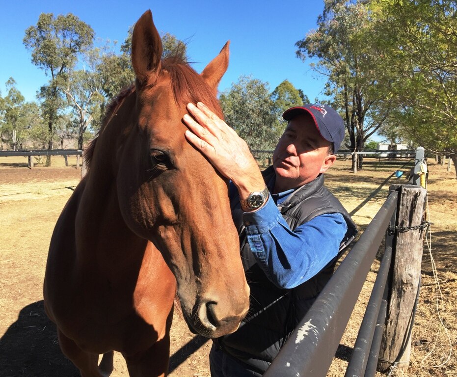 Vote Compass: Most Australians want greater restrictions on foreign ...