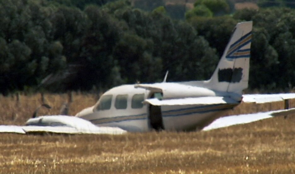Plane crashes in paddock but pair escapes injury - ABC News