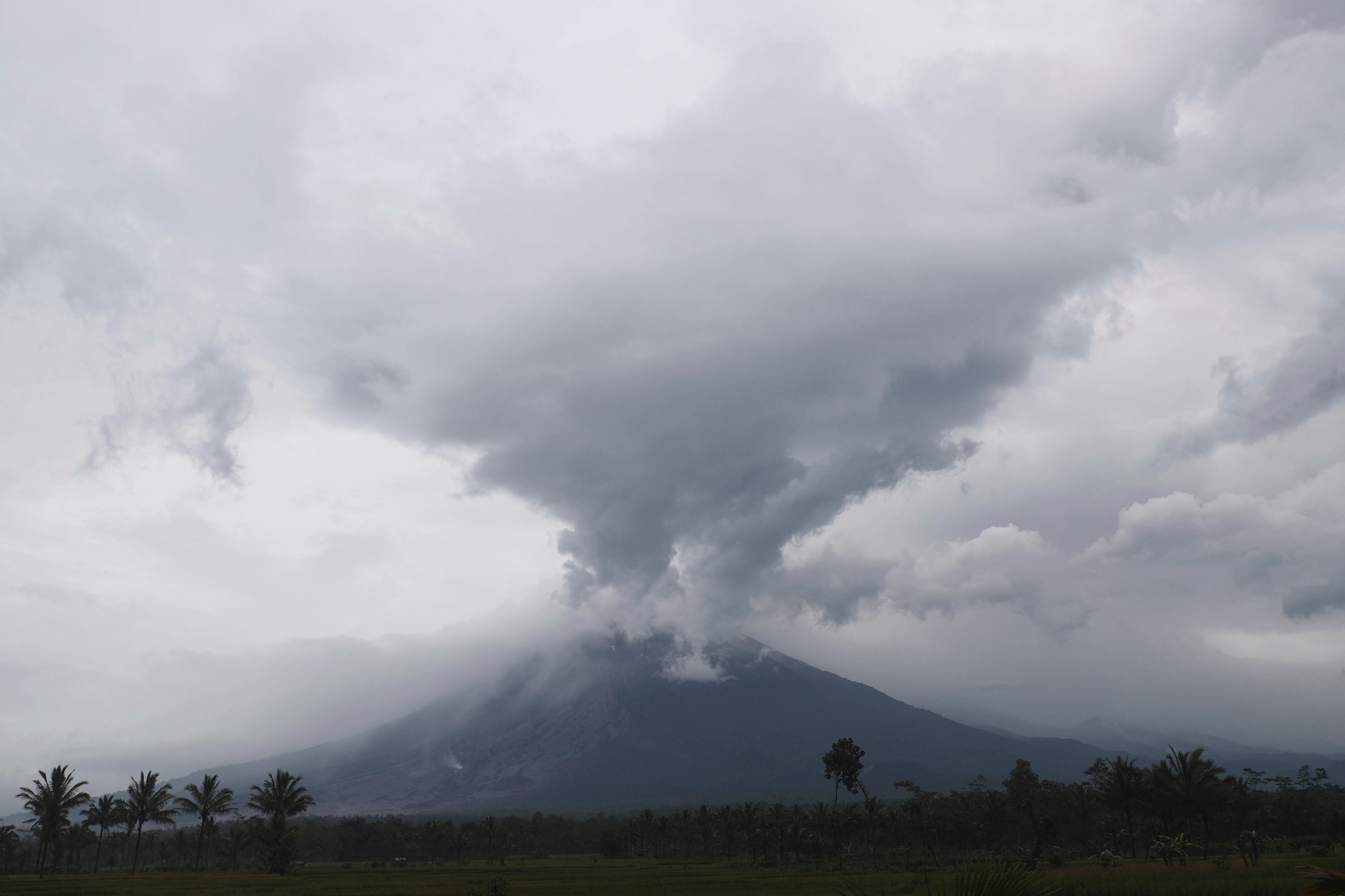 Indonesia volcano Mount Semeru erupts again, rescue operations ...