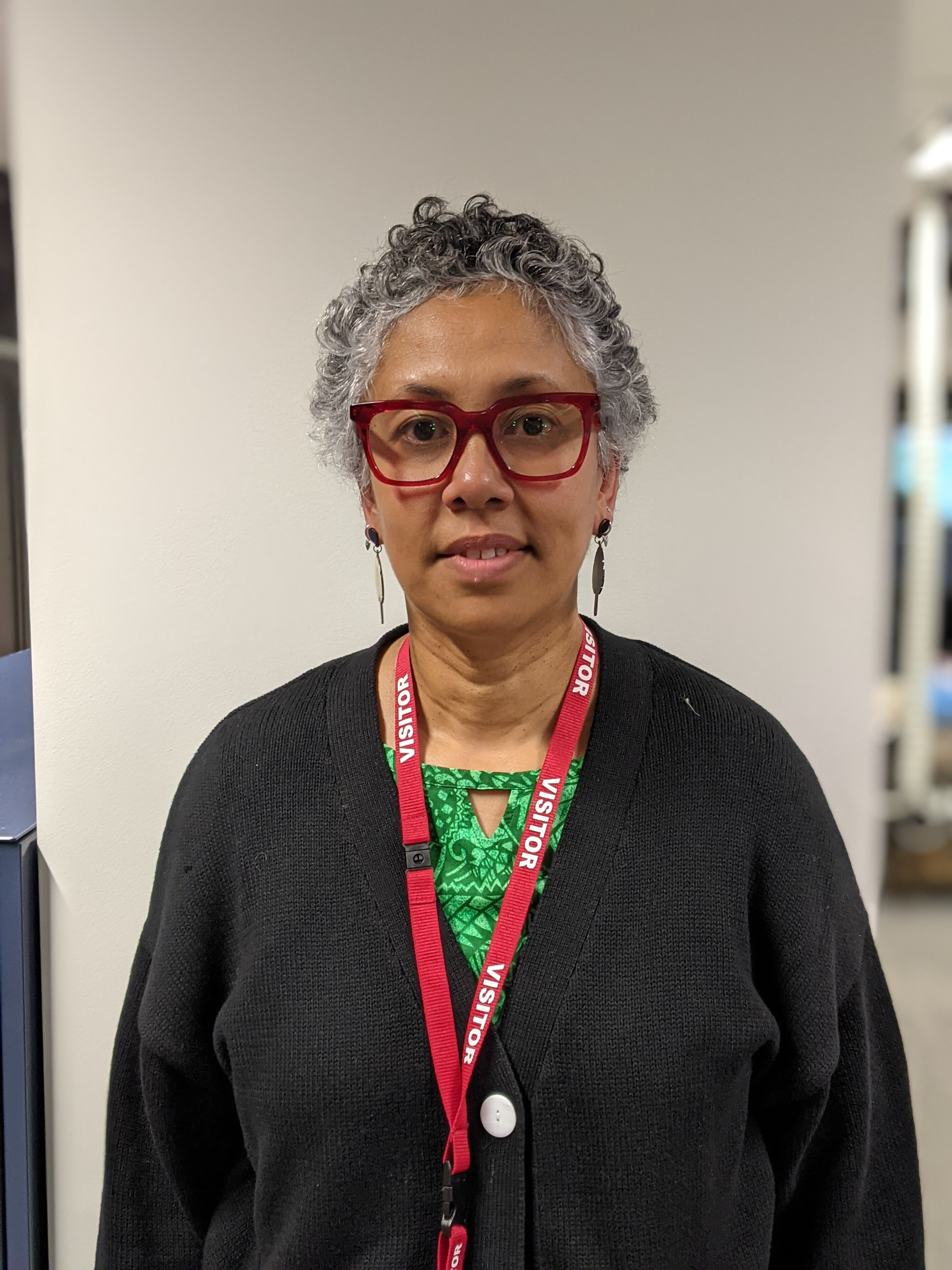 Fijian architect Loata Ho drew on traditional designs for her 'dream ...