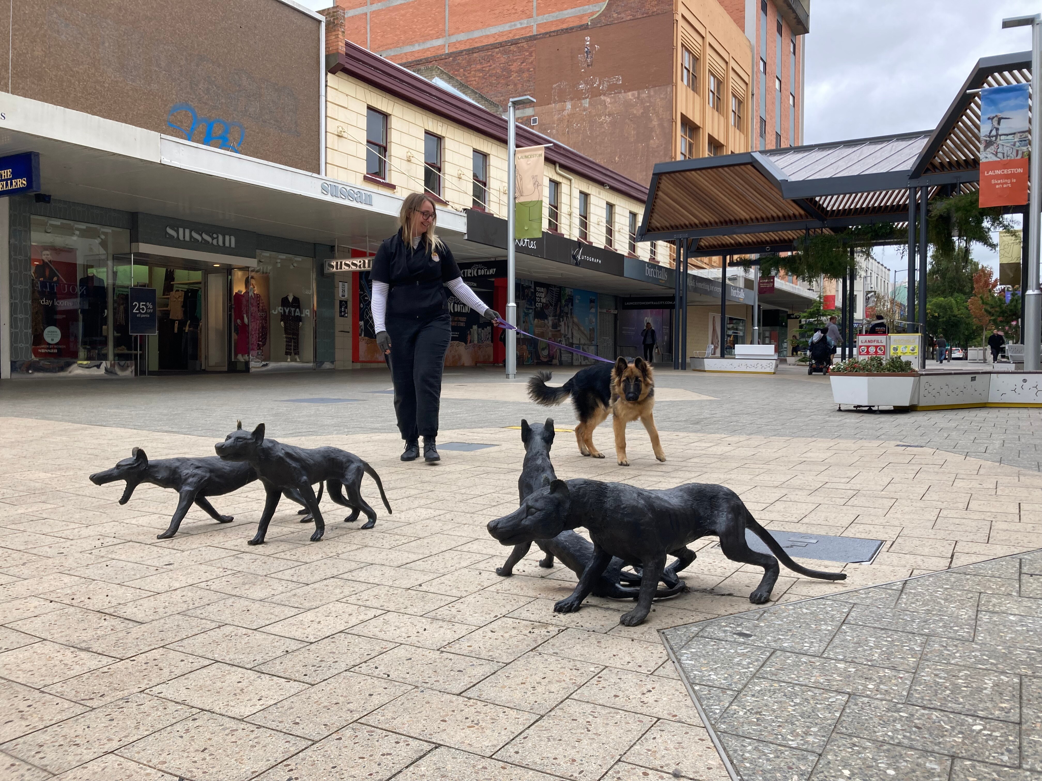 Launceston mall's infamous trip hazards, the thylacine statues, are ...