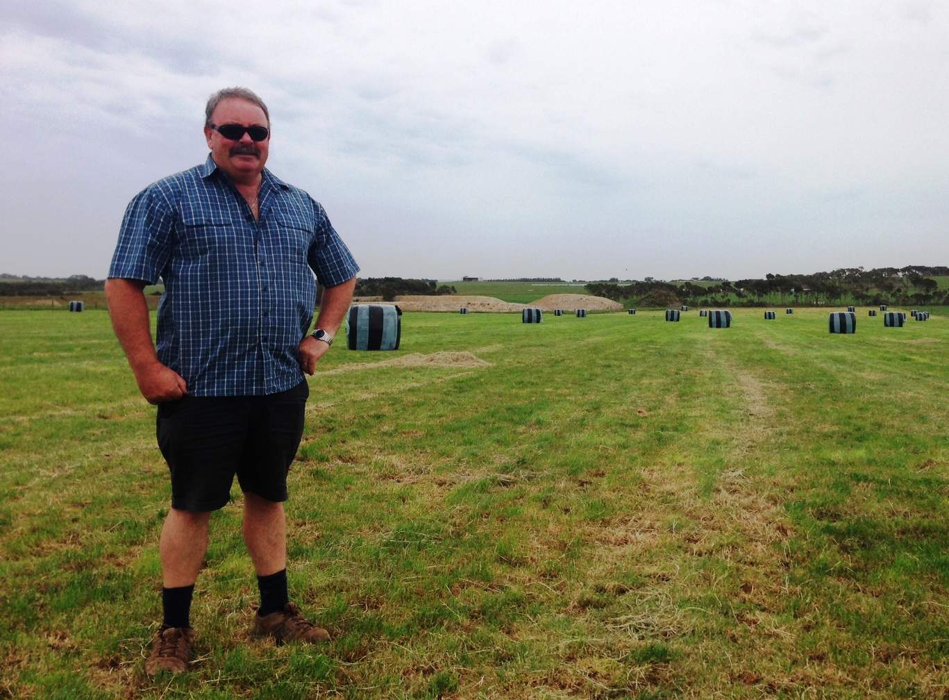 Green drought hits South Gippsland dairy farms, reducing milk ...