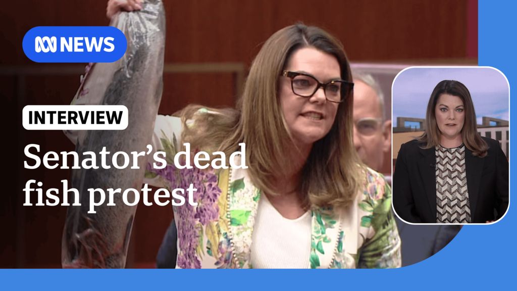 Greens Senator Sarah Hanson-Young on her dead salmon protest - ABC News