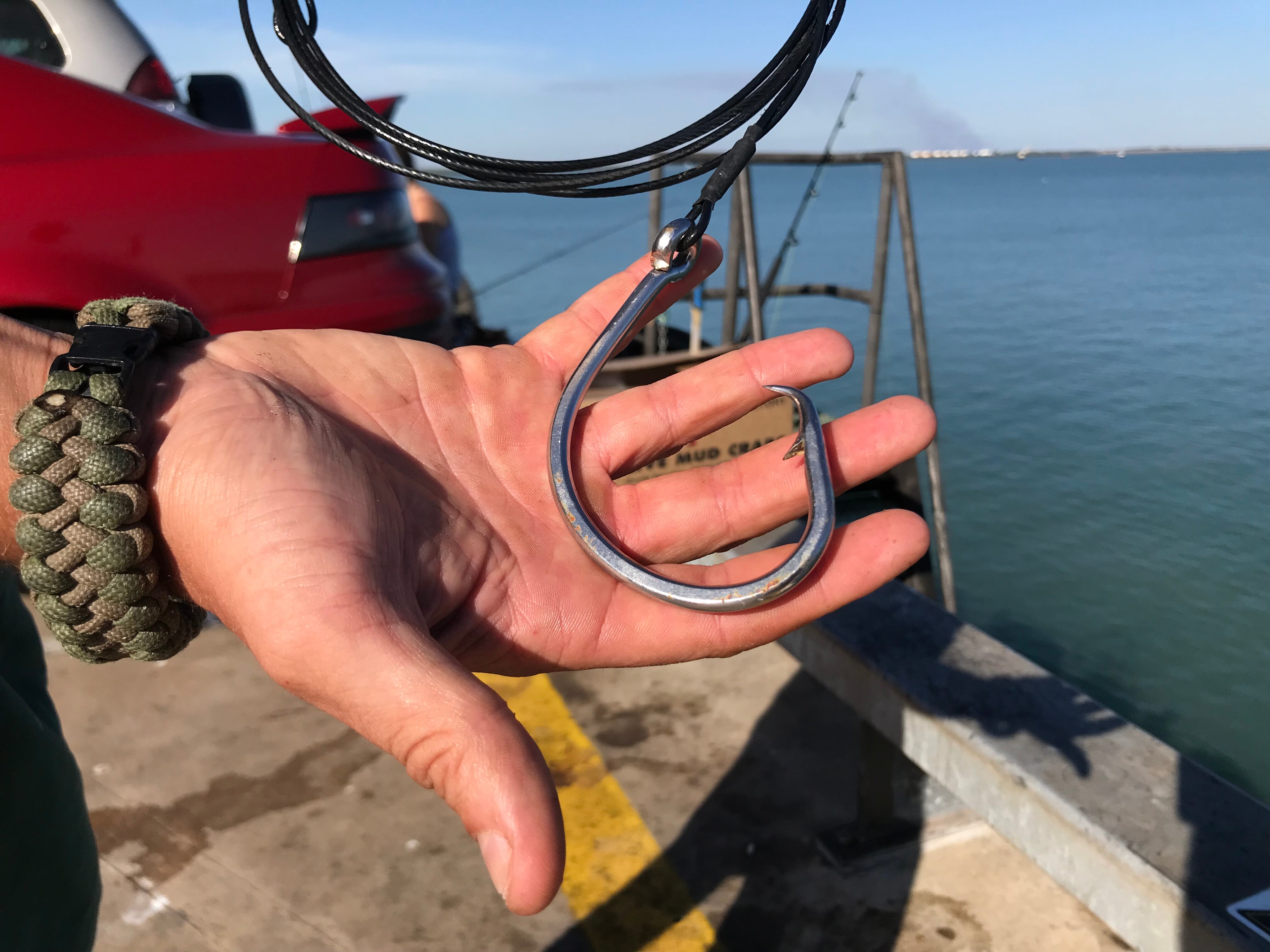 Sharp teeth at speed: Mackerel season gears up off Darwin - ABC Darwin