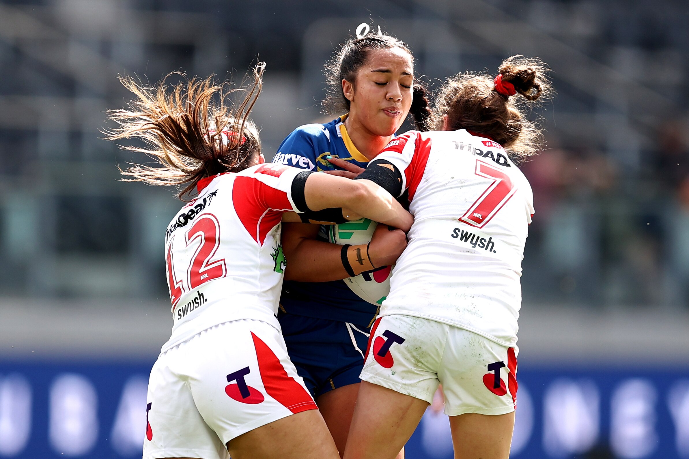 Newcastle Knights, St George Illawarra Dragons join Sydney Roosters as ...