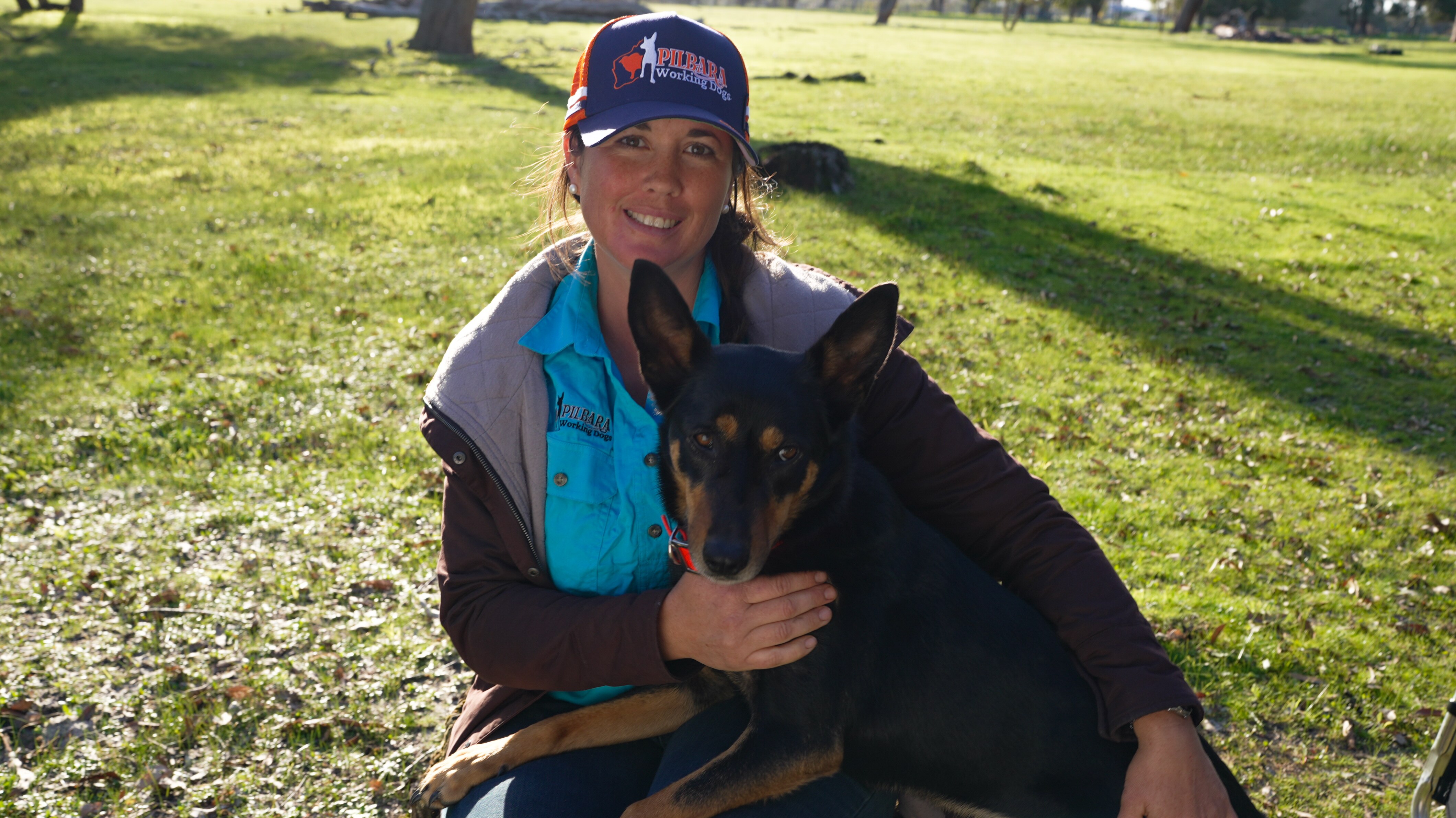 Muster Dogs stars catch us up on life since the series - ABC News