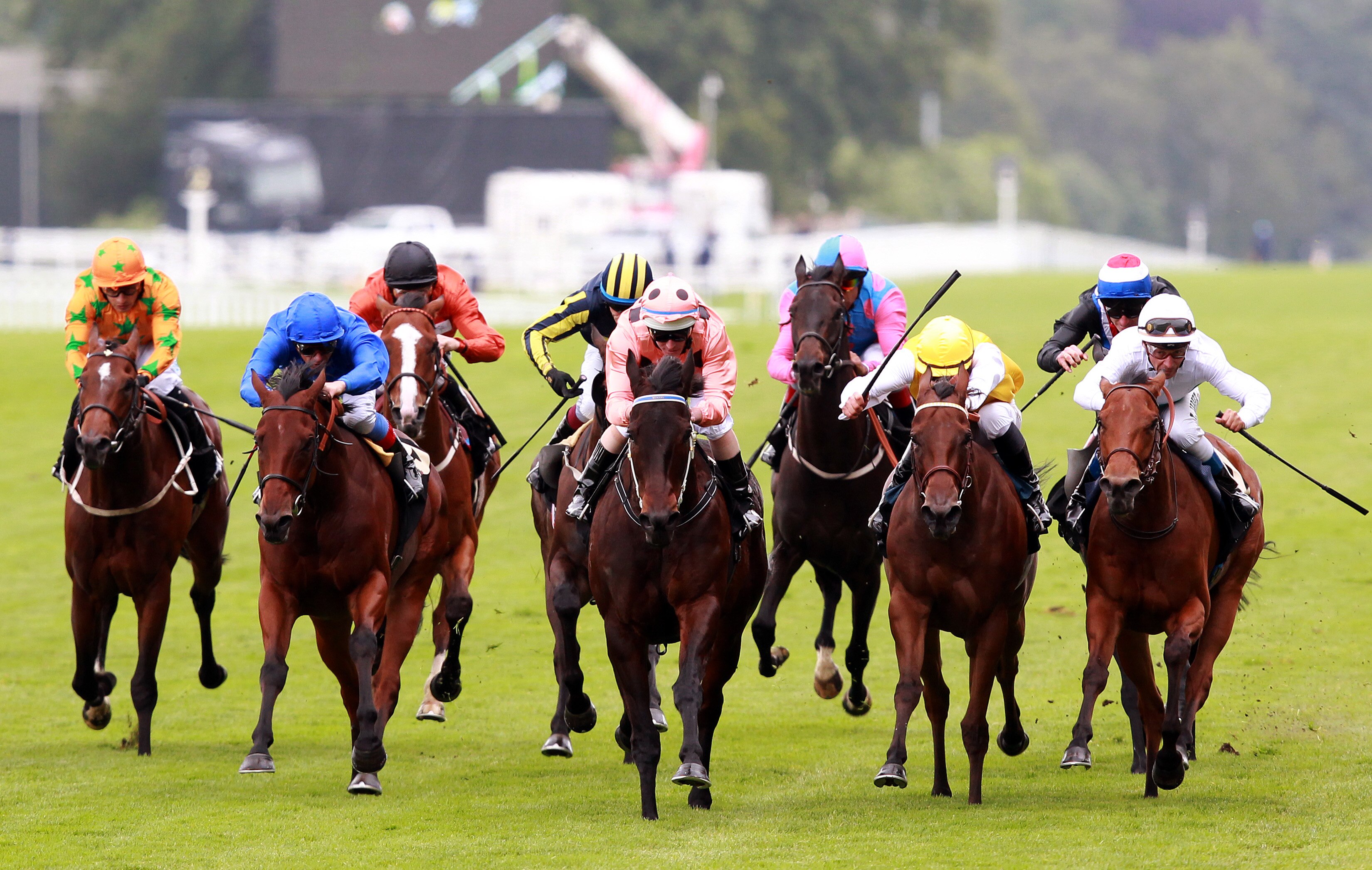 Black Caviar victorious despite injuries - ABC News
