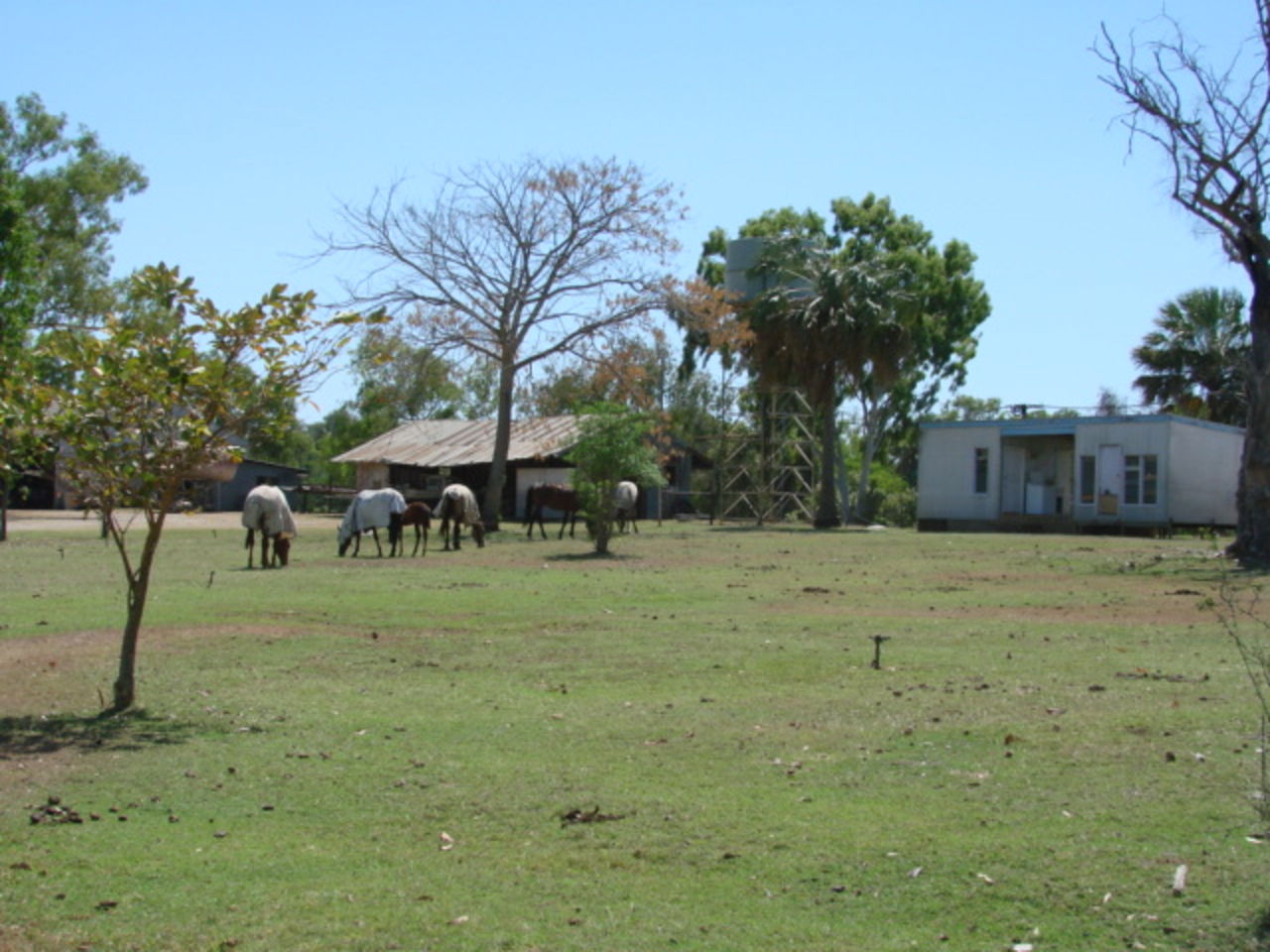 Dispute over famous Elsey Station - ABC News