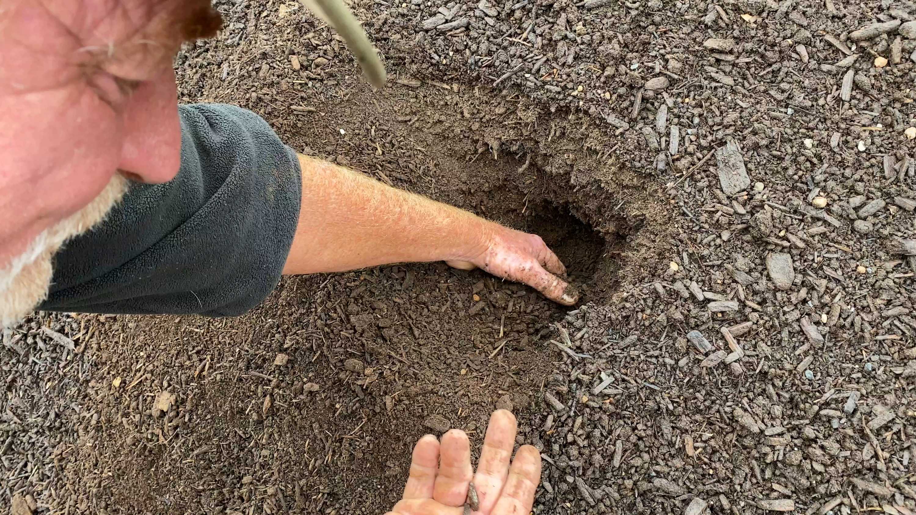 Farmer's worm juice in high demand for crops with permaculture popular ...