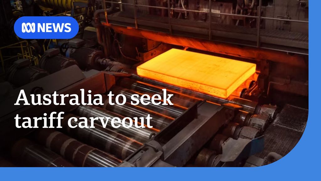 Donald Trump announces 25% tariff on all steel and aluminium imports ...